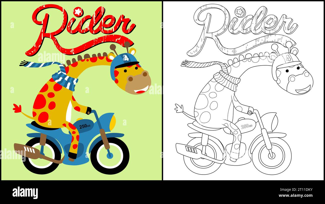 Coloring book of funny giraffe wearing helmet and scarf on motorcycle ...