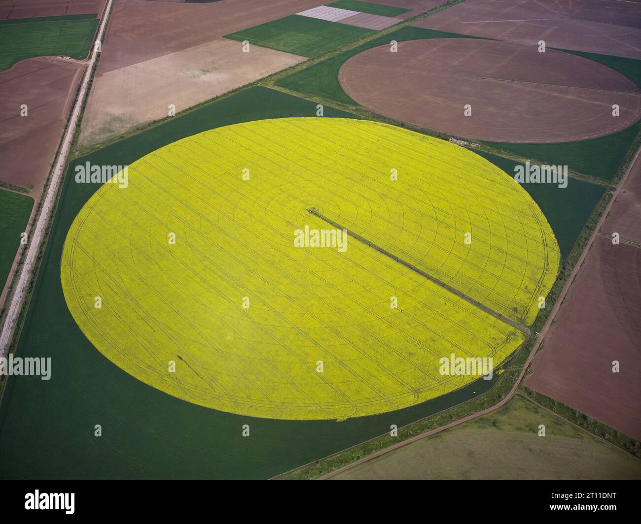 Center pivot irrigation system on a yellow rapeseed field aerial drone ...