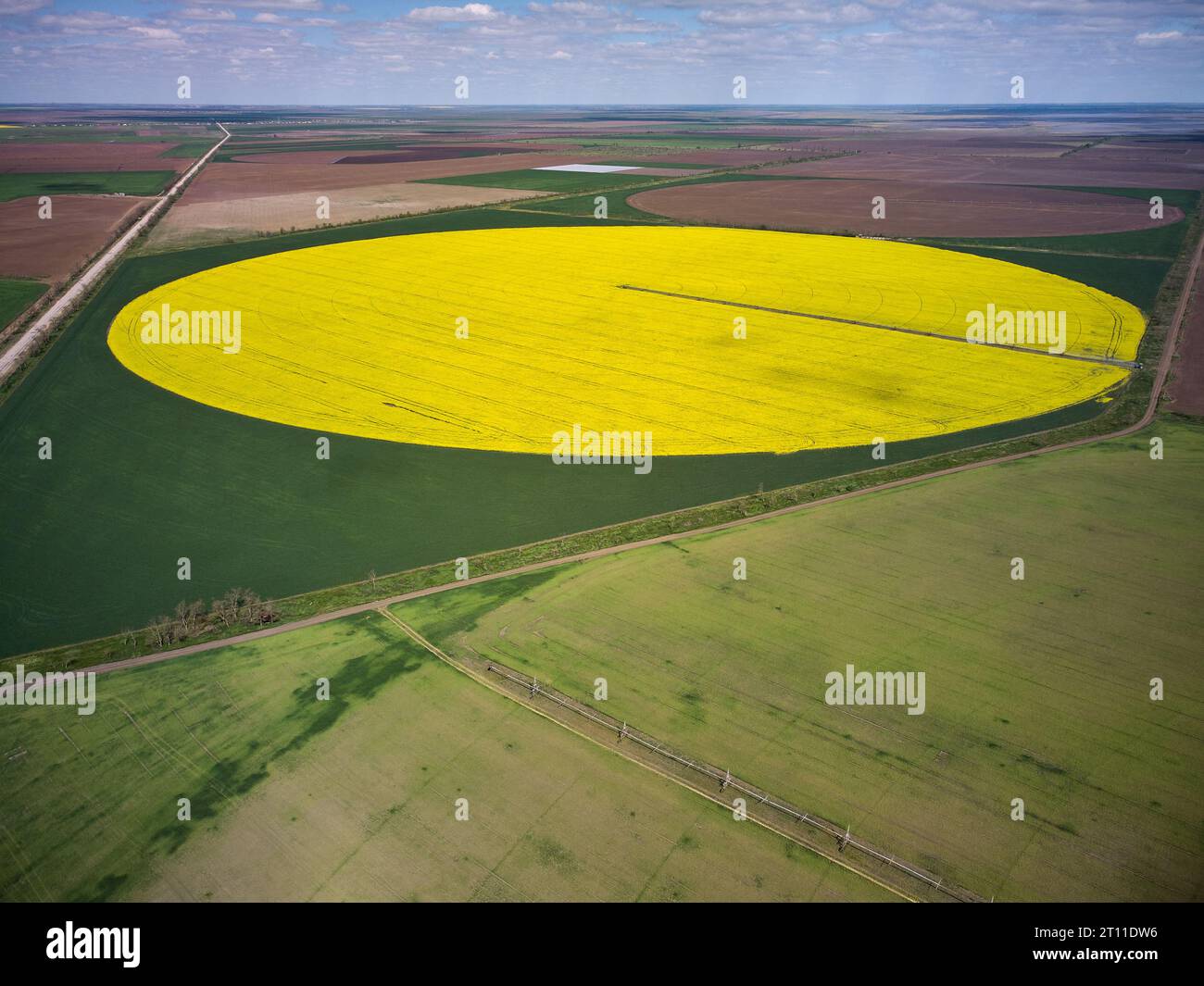 Center pivot irrigation system on a yellow rapeseed field aerial top ...