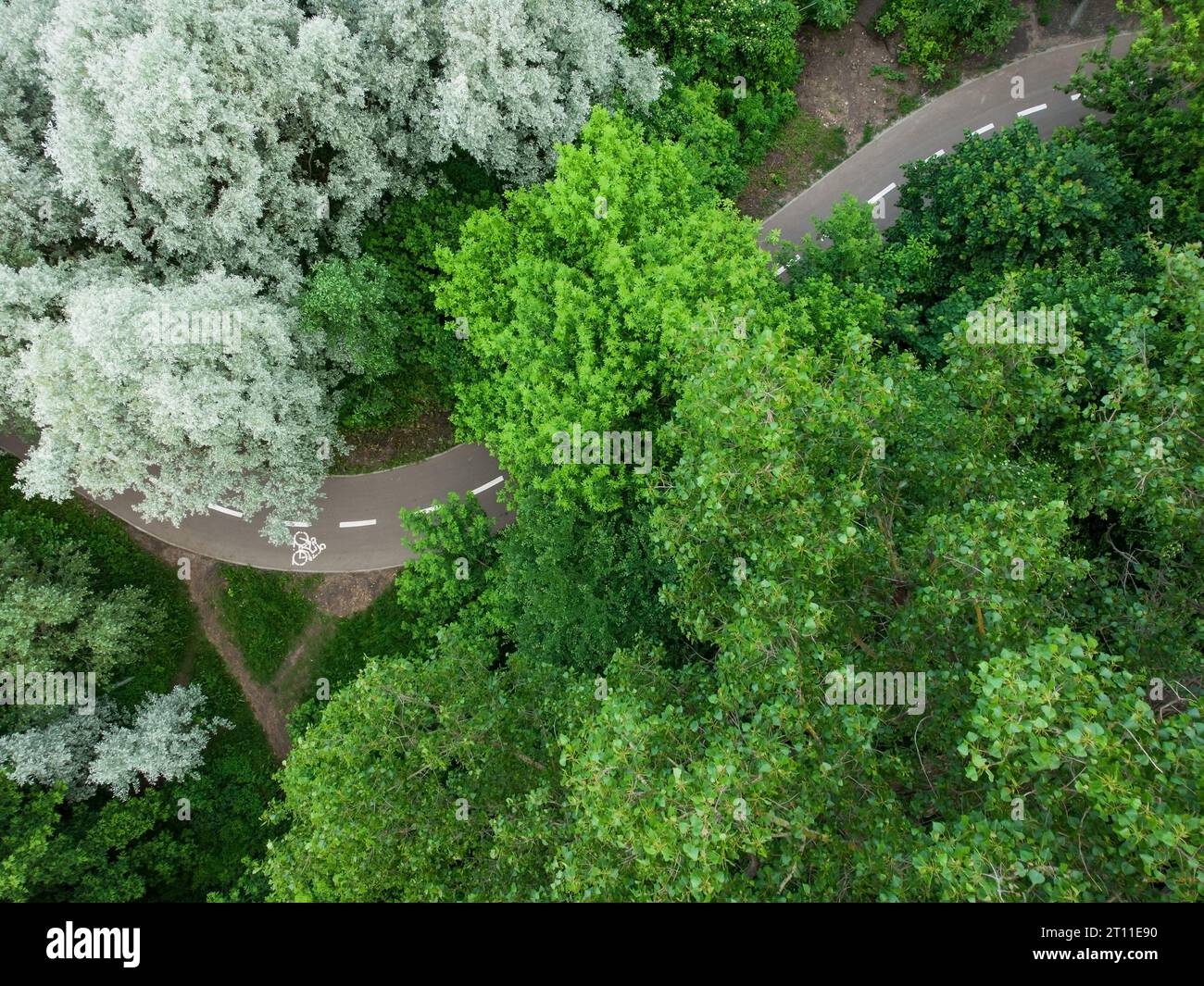 Bike Road through the summer green forest, Aerial view Stock Photo - Alamy