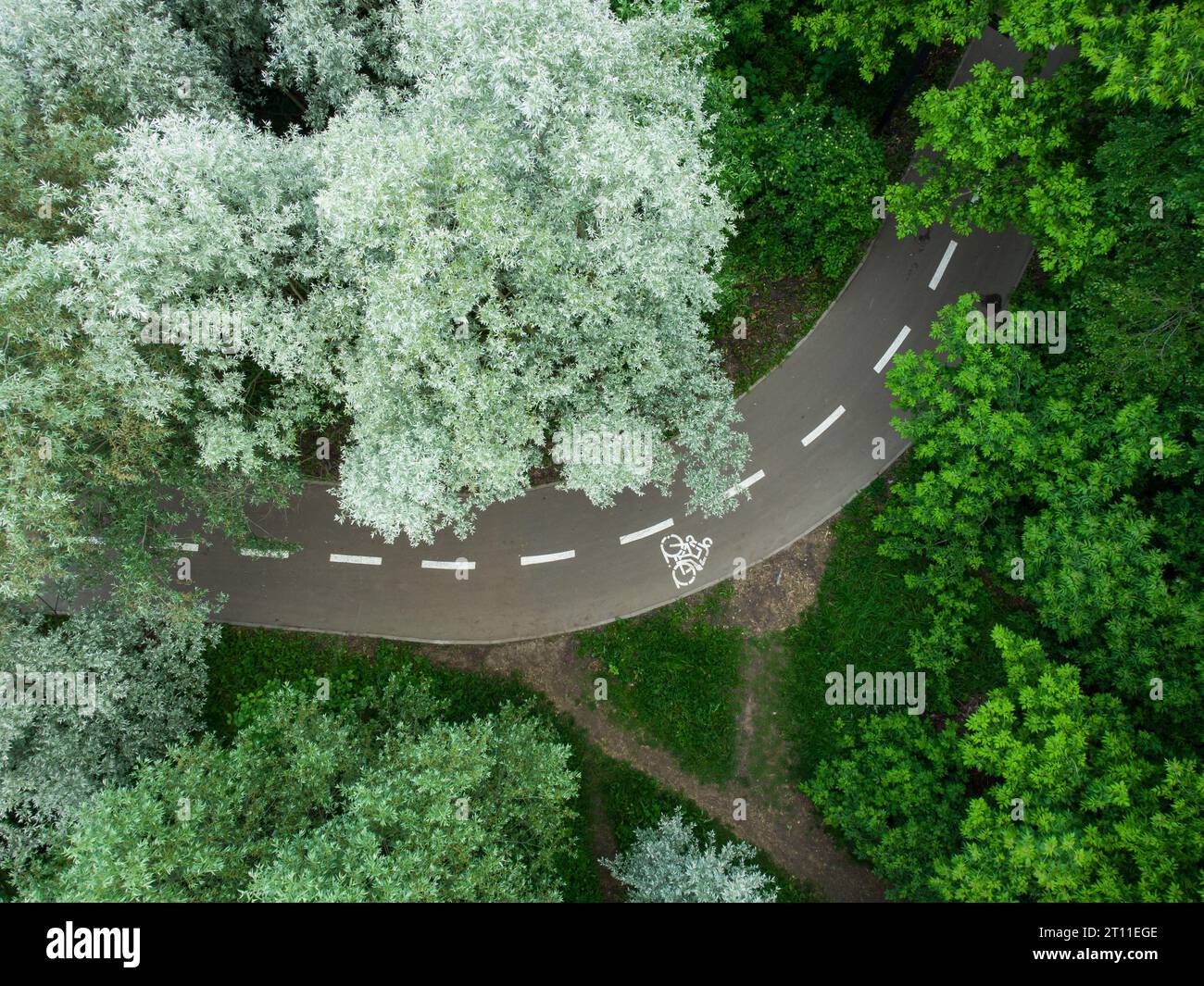 Bike Road through the summer green forest, Aerial view Stock Photo - Alamy