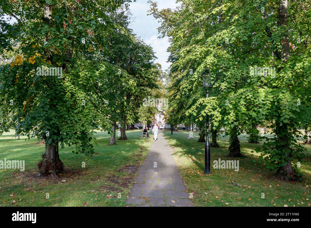 An avenue of trees bisecting Central Square in Hampstead Garden Suburb ...