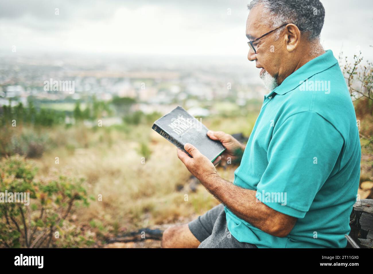 Senior man, bible and reading in nature, thinking or peace for ...
