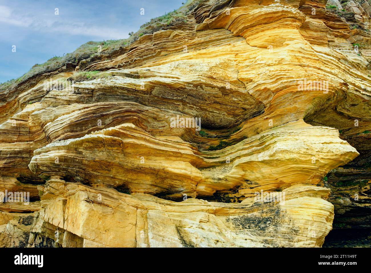 Hopeman Moray Coast Scotland honey coloured weathered sandstone cliff ...