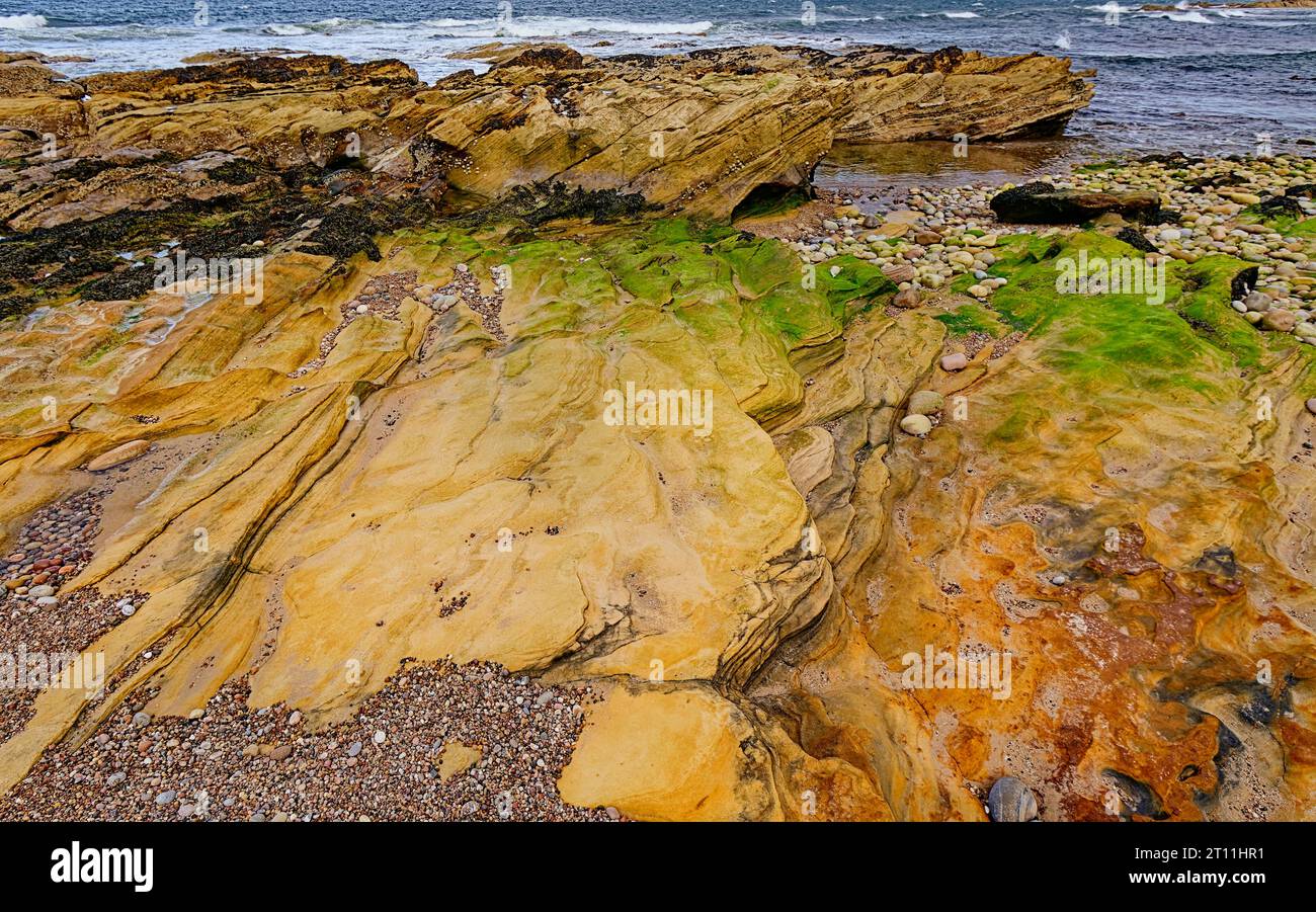 Hopeman Moray Coast Scotland shelf of colourful sandstone rock and ...