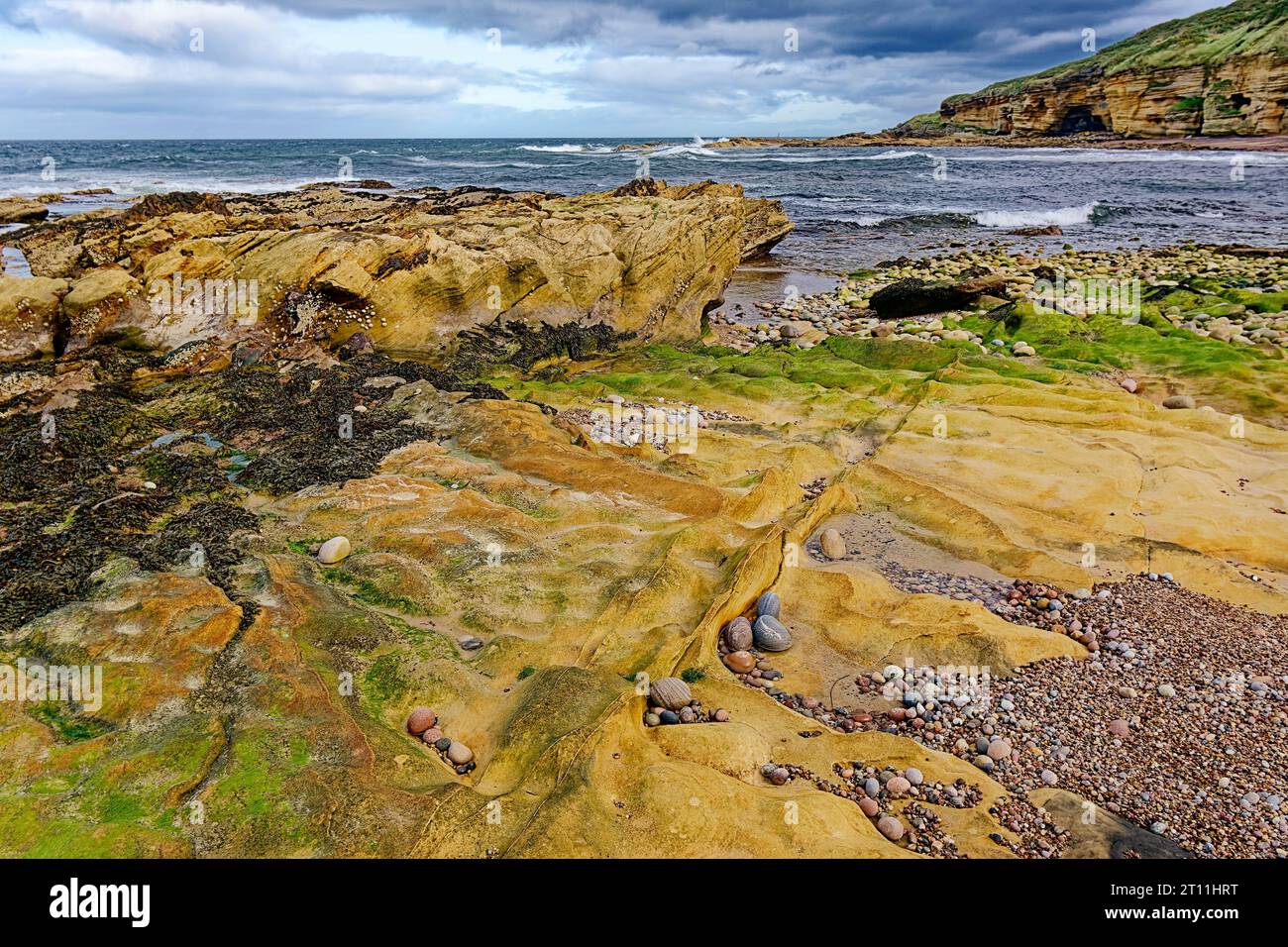 Hopeman Moray Coast Scotland shelf of golden sandstone rock on the ...