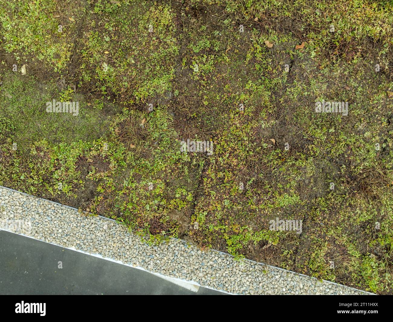 Green roof aerial hi-res stock photography and images - Alamy