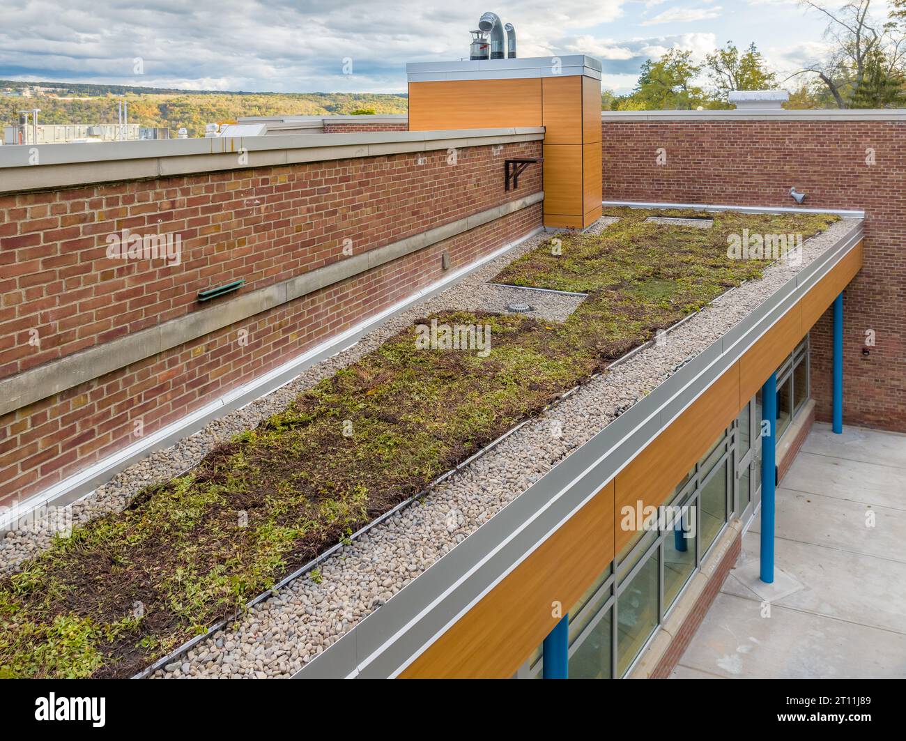 Aerial image of a new vegetation, green, roof Stock Photo - Alamy