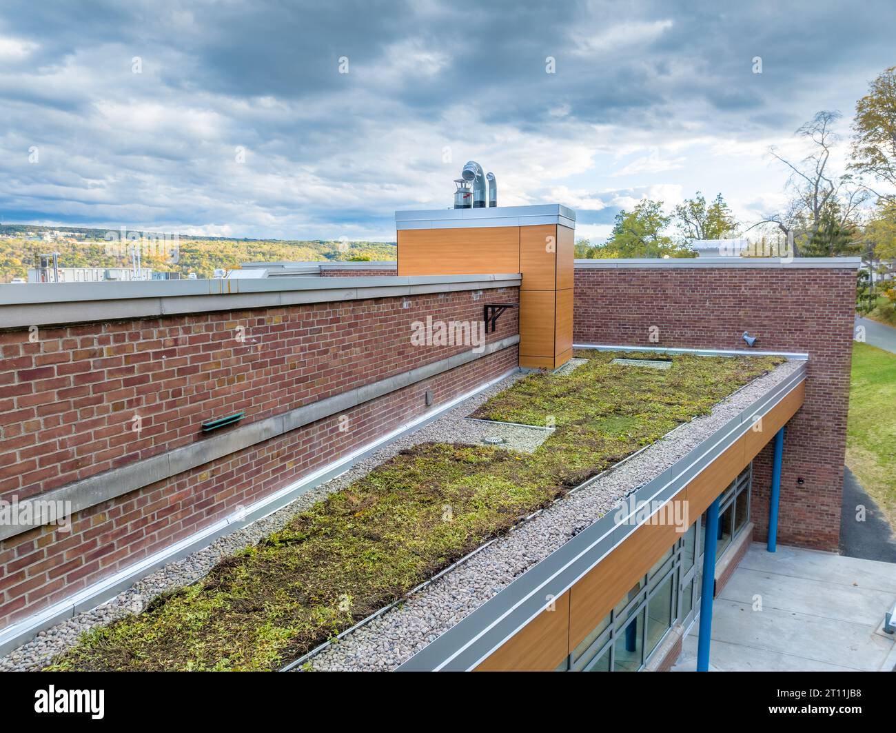 Aerial image of a new vegetation, green, roof Stock Photo - Alamy