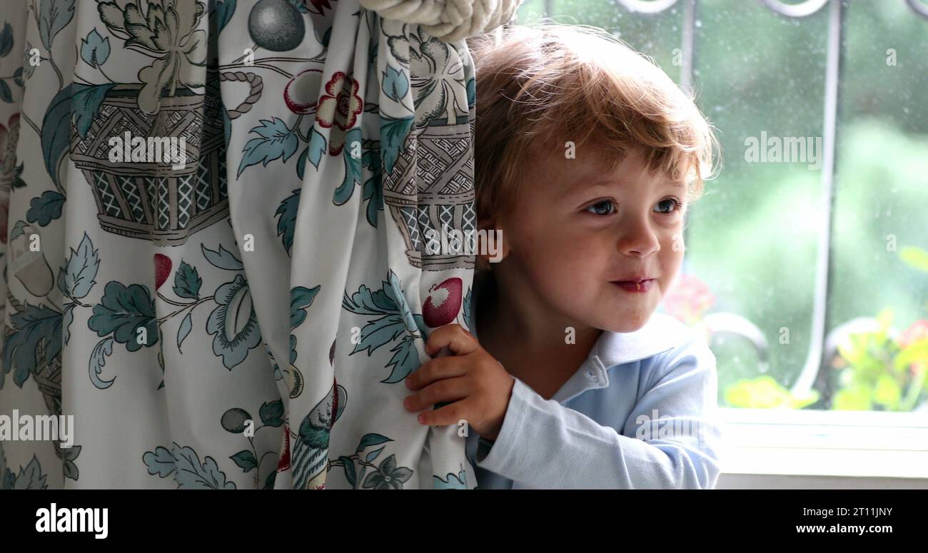 Toddler boy hiding behind curtains. Happy child plays hide and seek ...