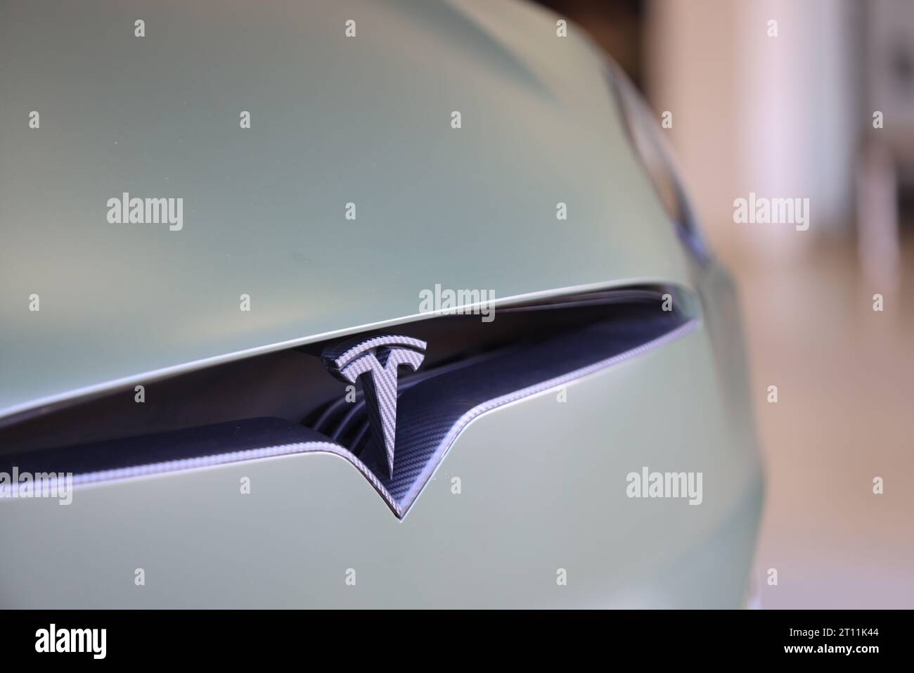 Hong Kong October 10, 2023. Tesla Model X Matte Military Green Wrap ...