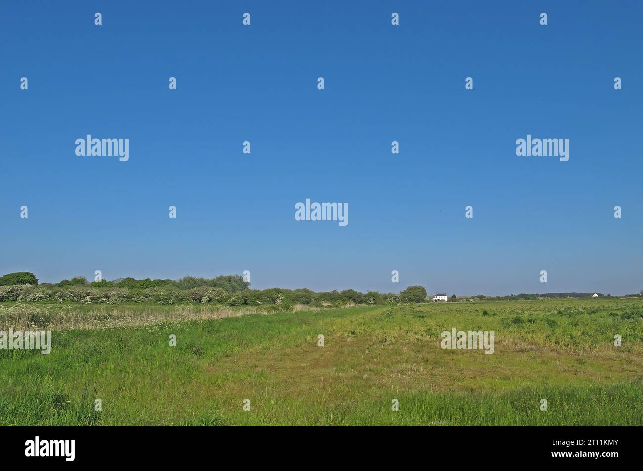 view over recently implemented 'Higher Level Stewardship' land to ...