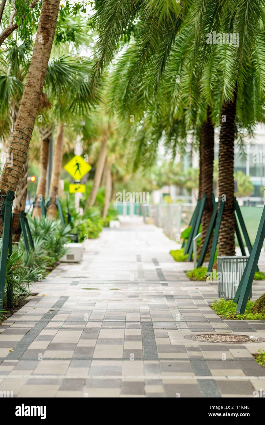 Stock photo scenic walkway through a Miami city scene Stock Photo - Alamy