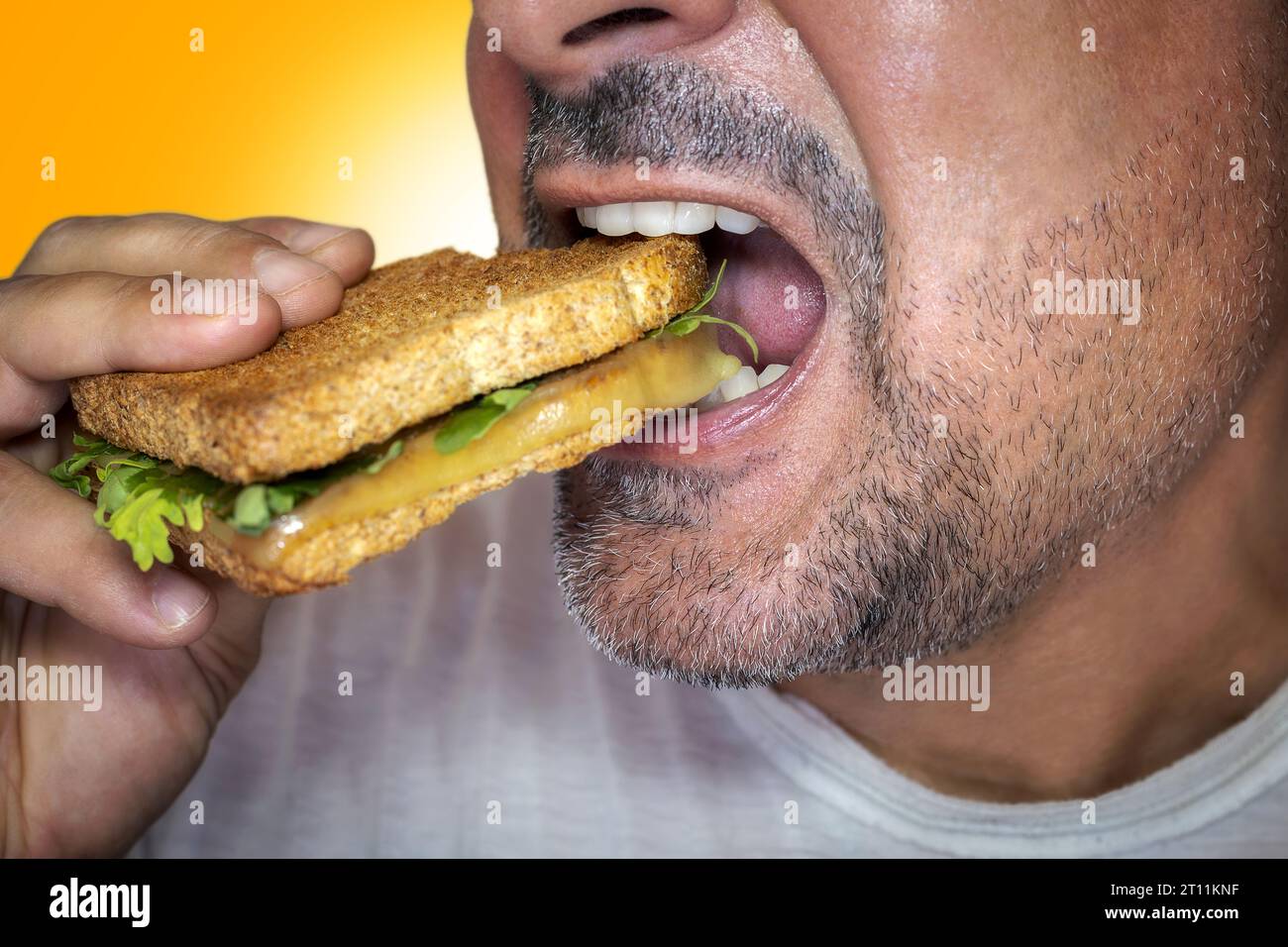 Irresistible craving for junk food. Close-up of a hungry man biting ...