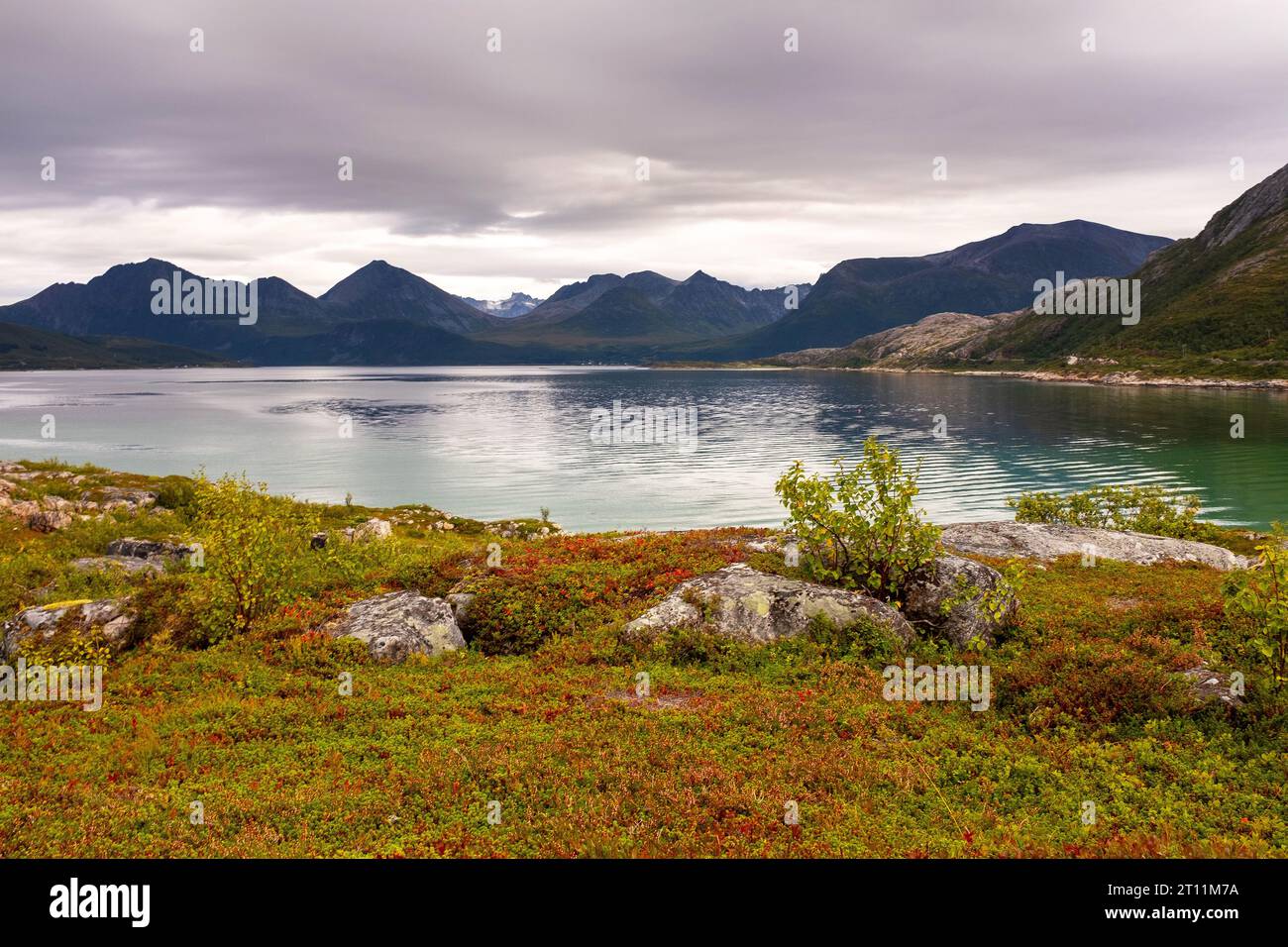 September 05, 2023: Shades of autumn reds and yellows color Norwegian ...