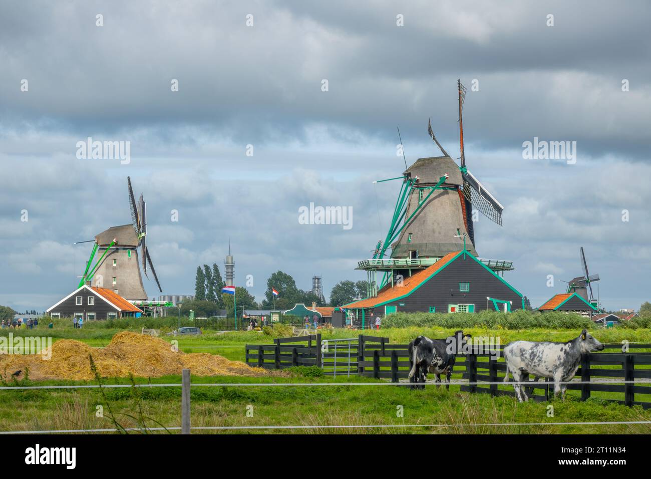 Netherlands. Cloudy summer day in Zaanse Schans. Landscape with Dutch ...