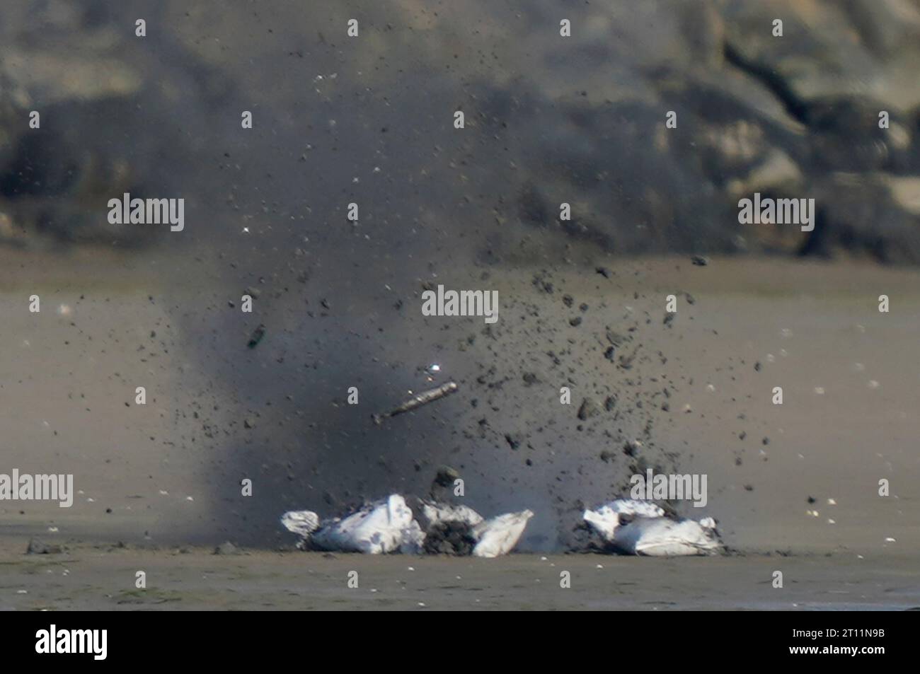 A controlled explosion is carried out on a suspect package, at ...
