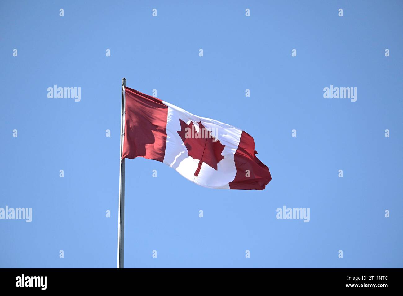 Berlin: Nationalflagge Kanadas , rot/weiß, Ahornblatt Logos und Flaggen ...