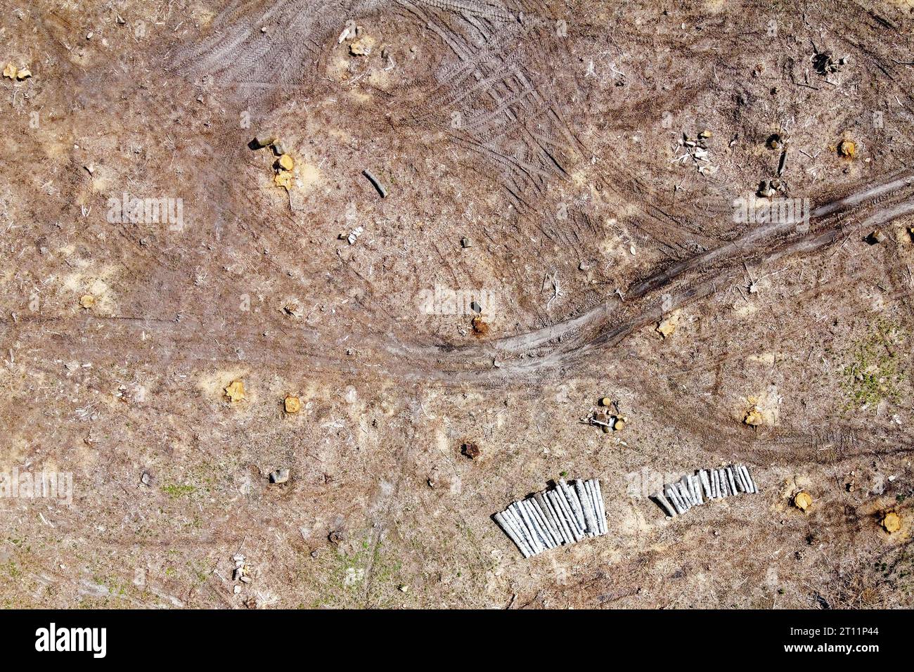 Logging place, aerial view. Devastated land. Felled forest Stock Photo ...