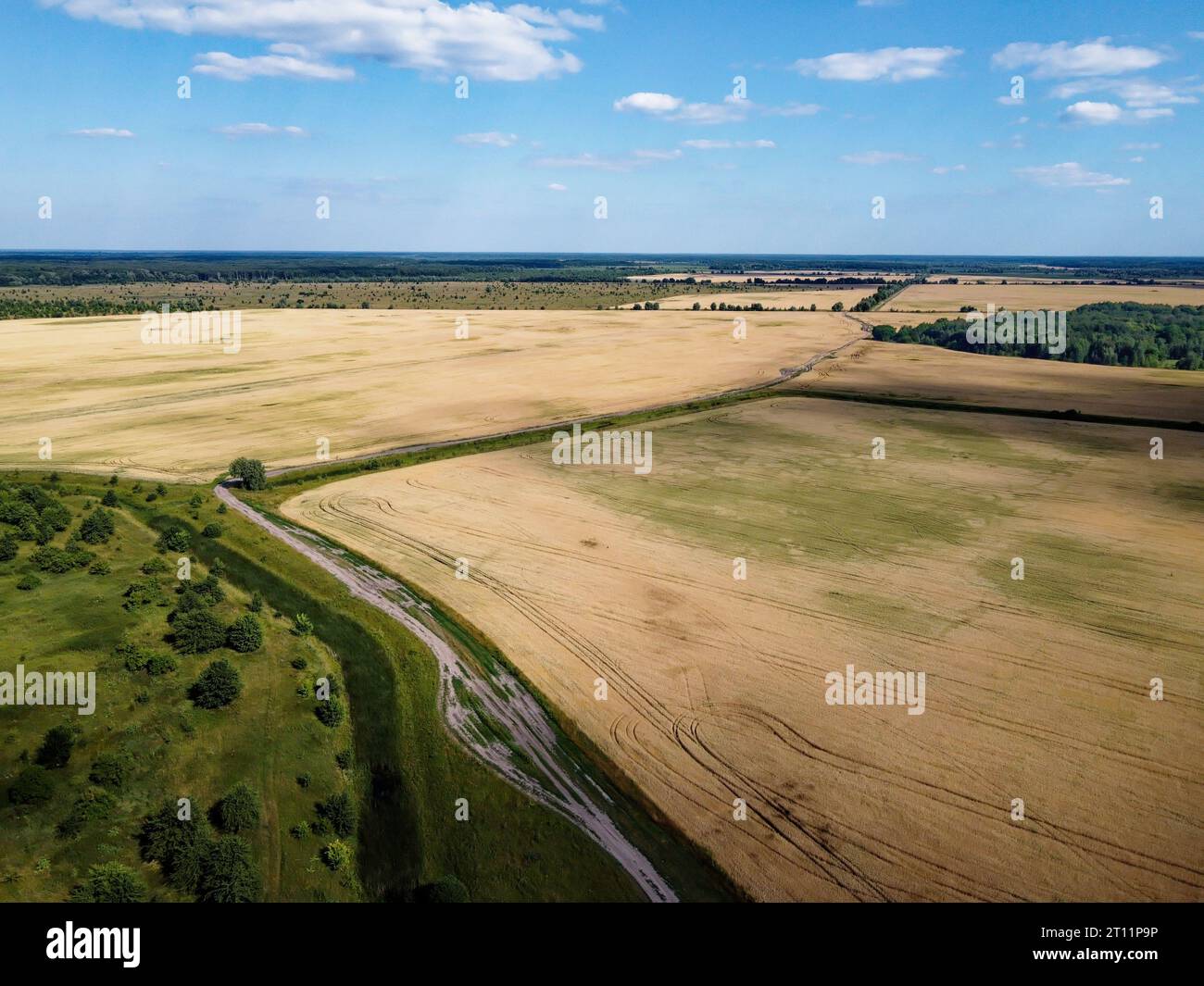 Green deciduous forest next to a farm field. Landscape from a bird's ...