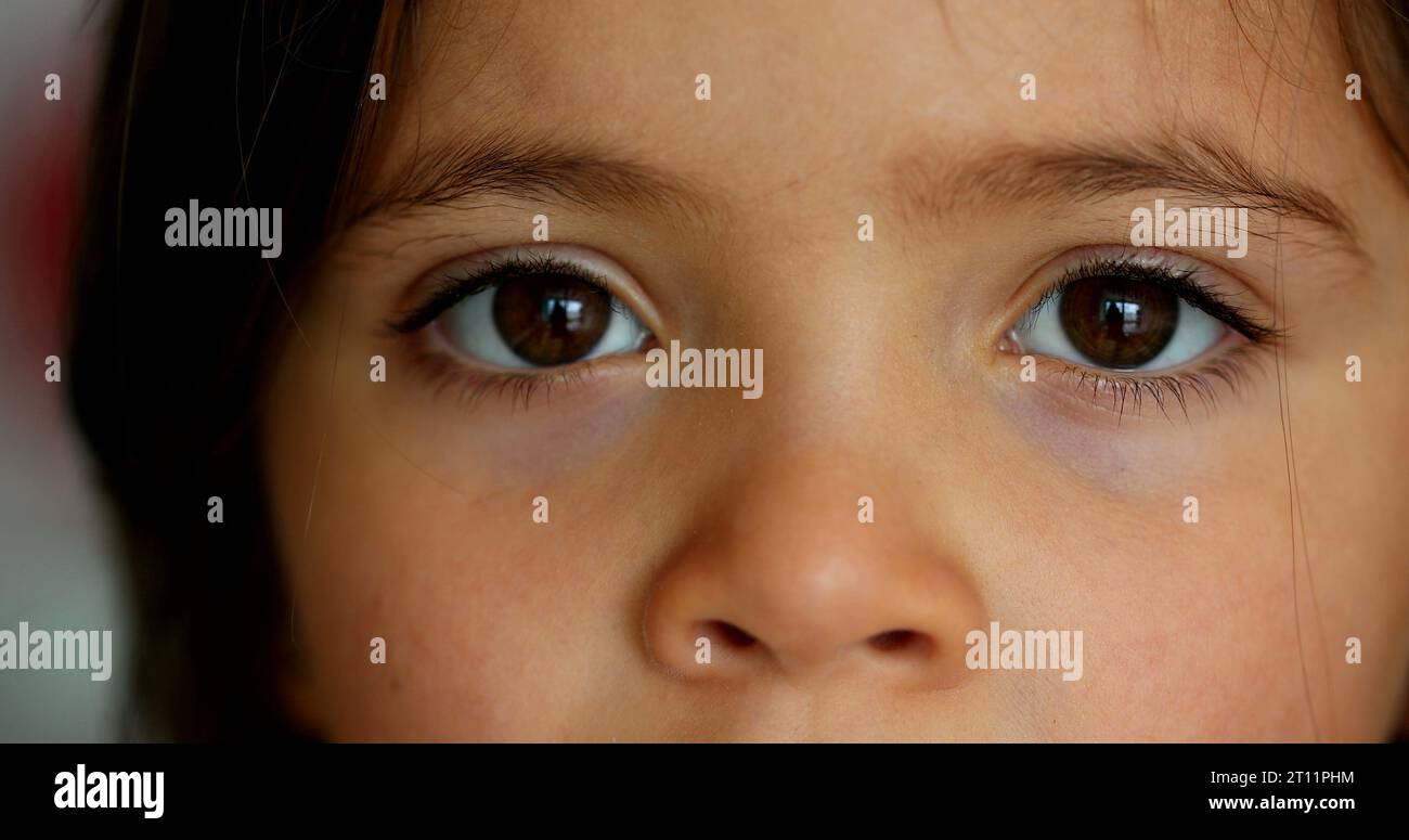 Little girls eyes staring camera. Close-up child eye Stock Photo - Alamy