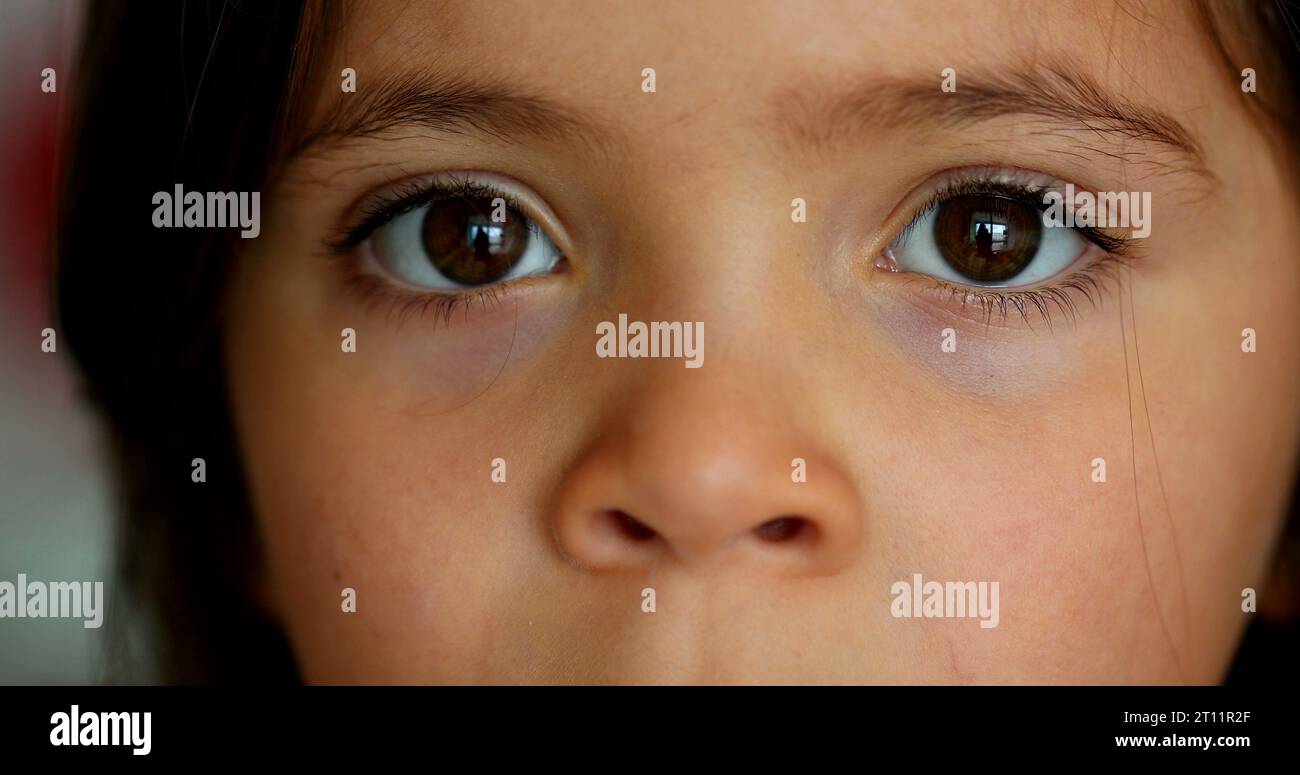 Little girls eyes staring camera. Close-up child eye Stock Photo - Alamy