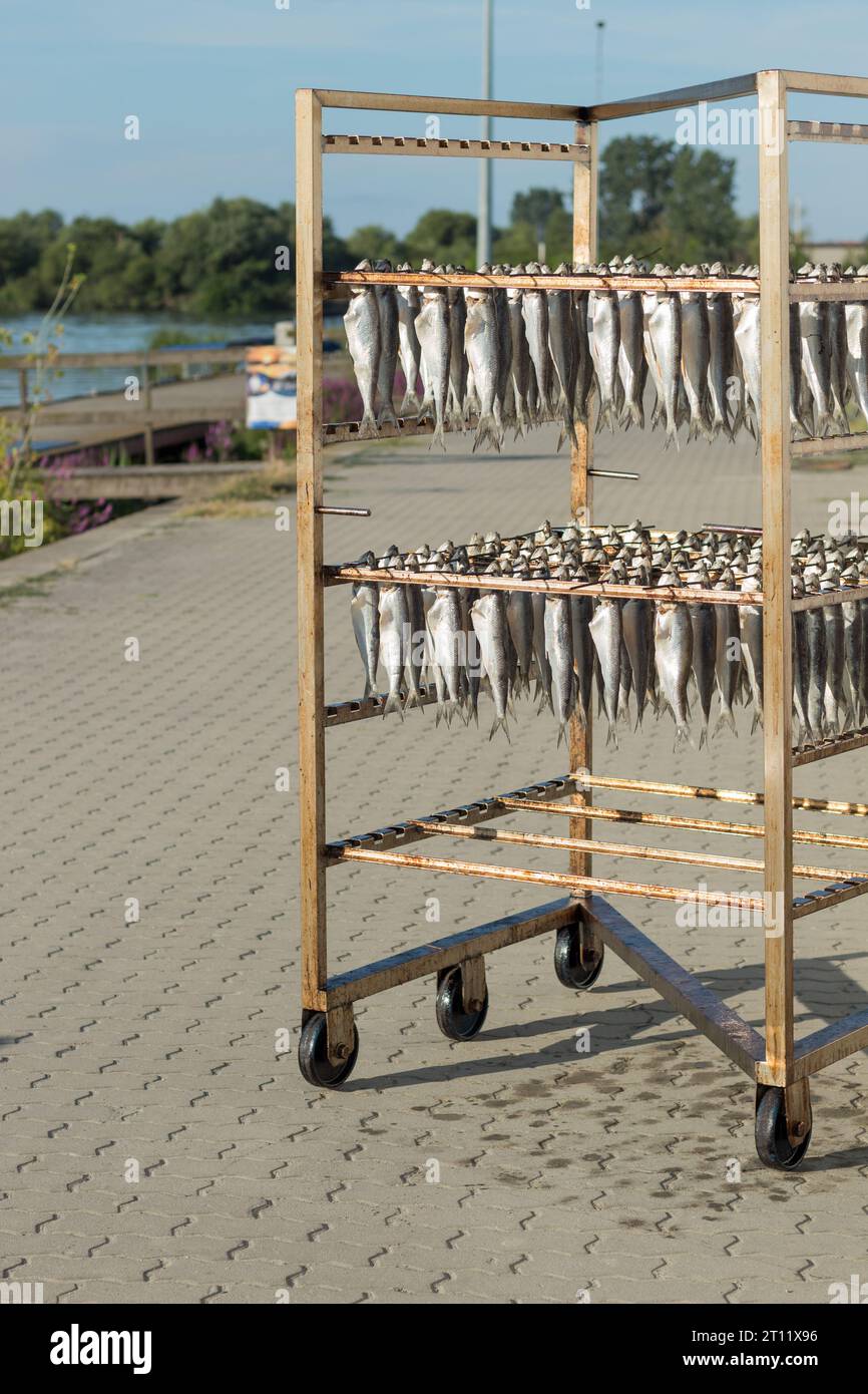 Dried fish, dry fish Romania Stock Photo - Alamy