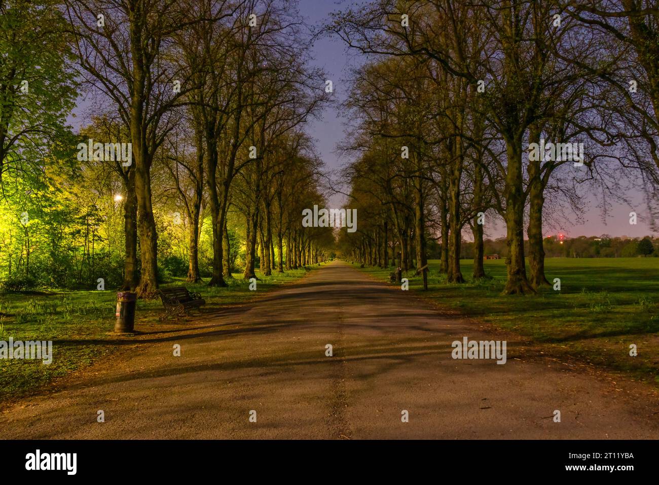 Night time city park hi-res stock photography and images - Alamy