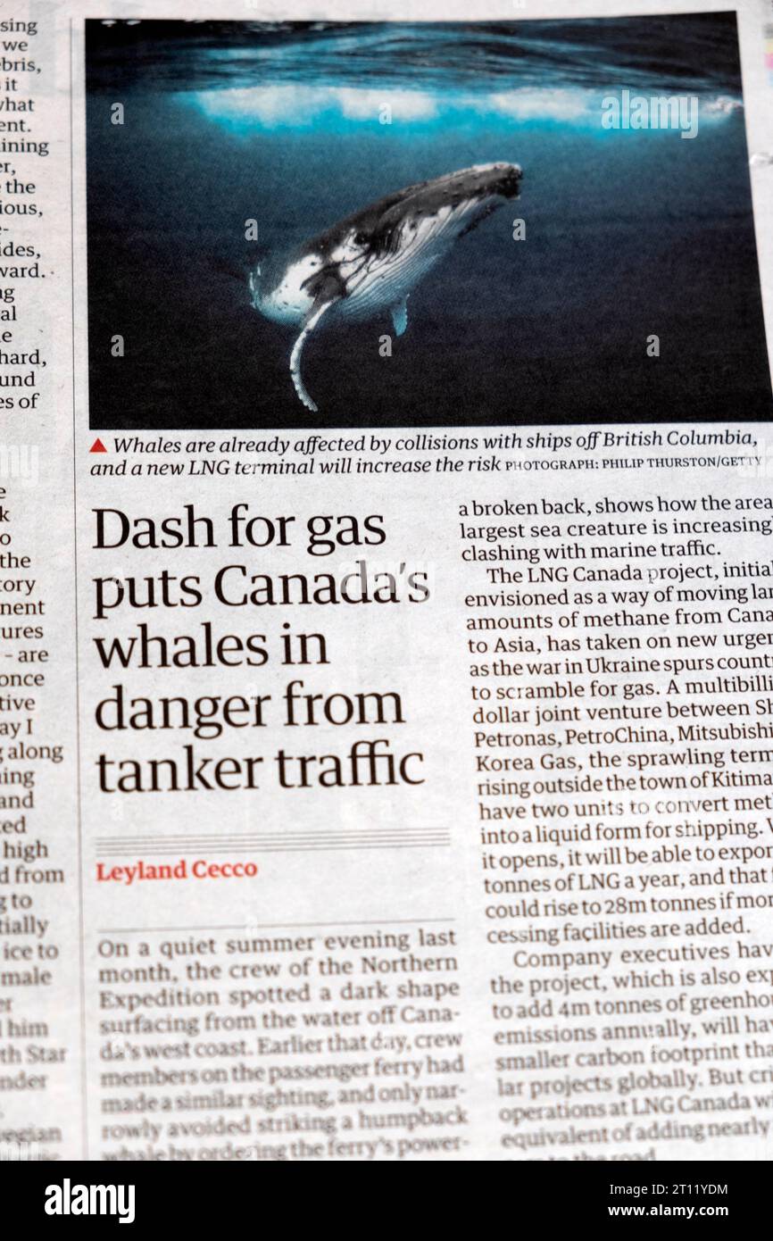 'Dash for gas puts Canada 's whales in danger from tanker traffic ...