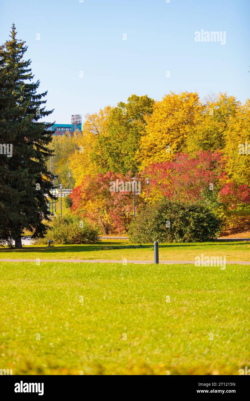 Autumn landscape of city park, beautiful view of mottled leaves Stock ...
