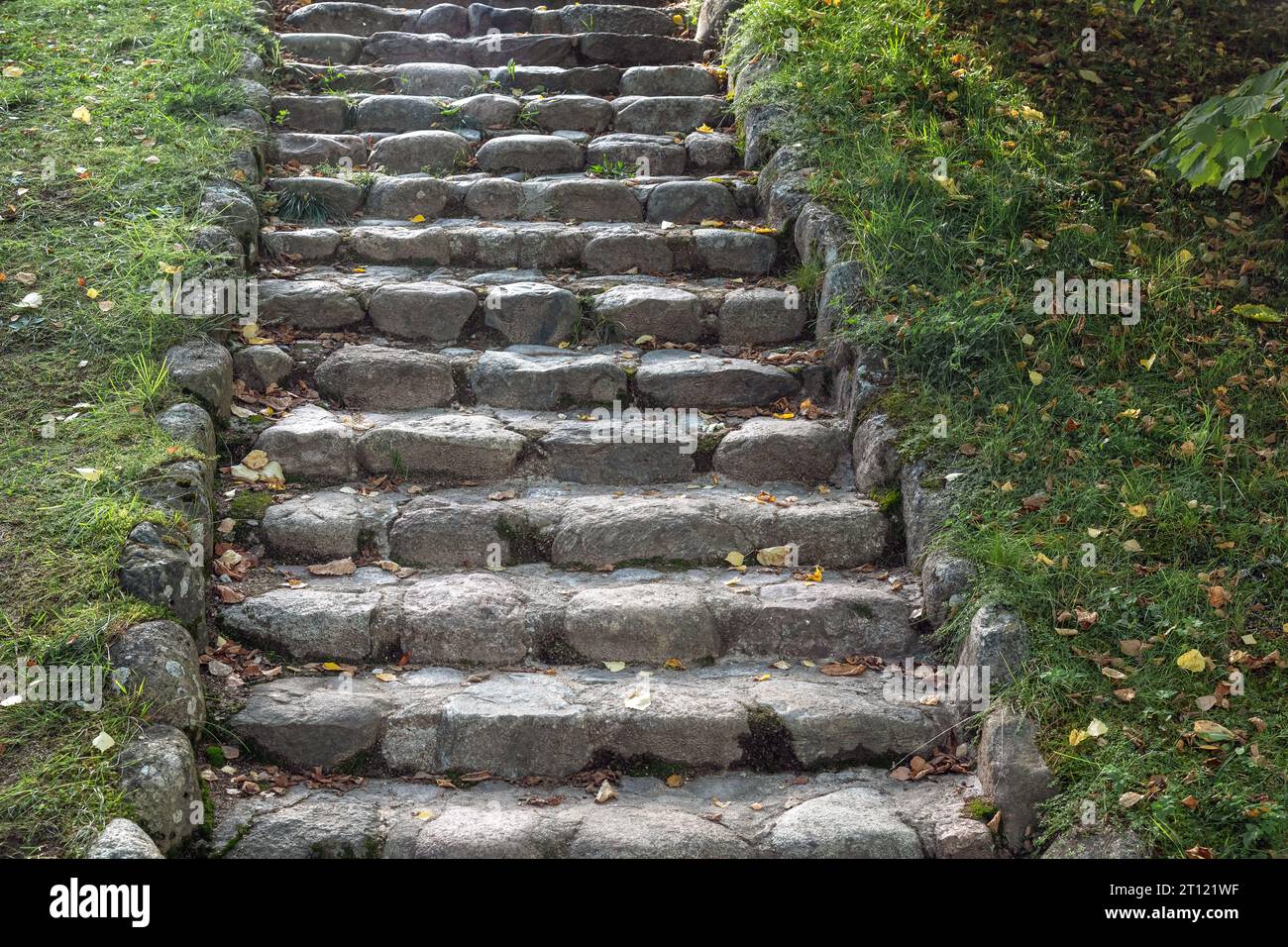 Staircase of stone steps leading up to a hill overgrown with green ...