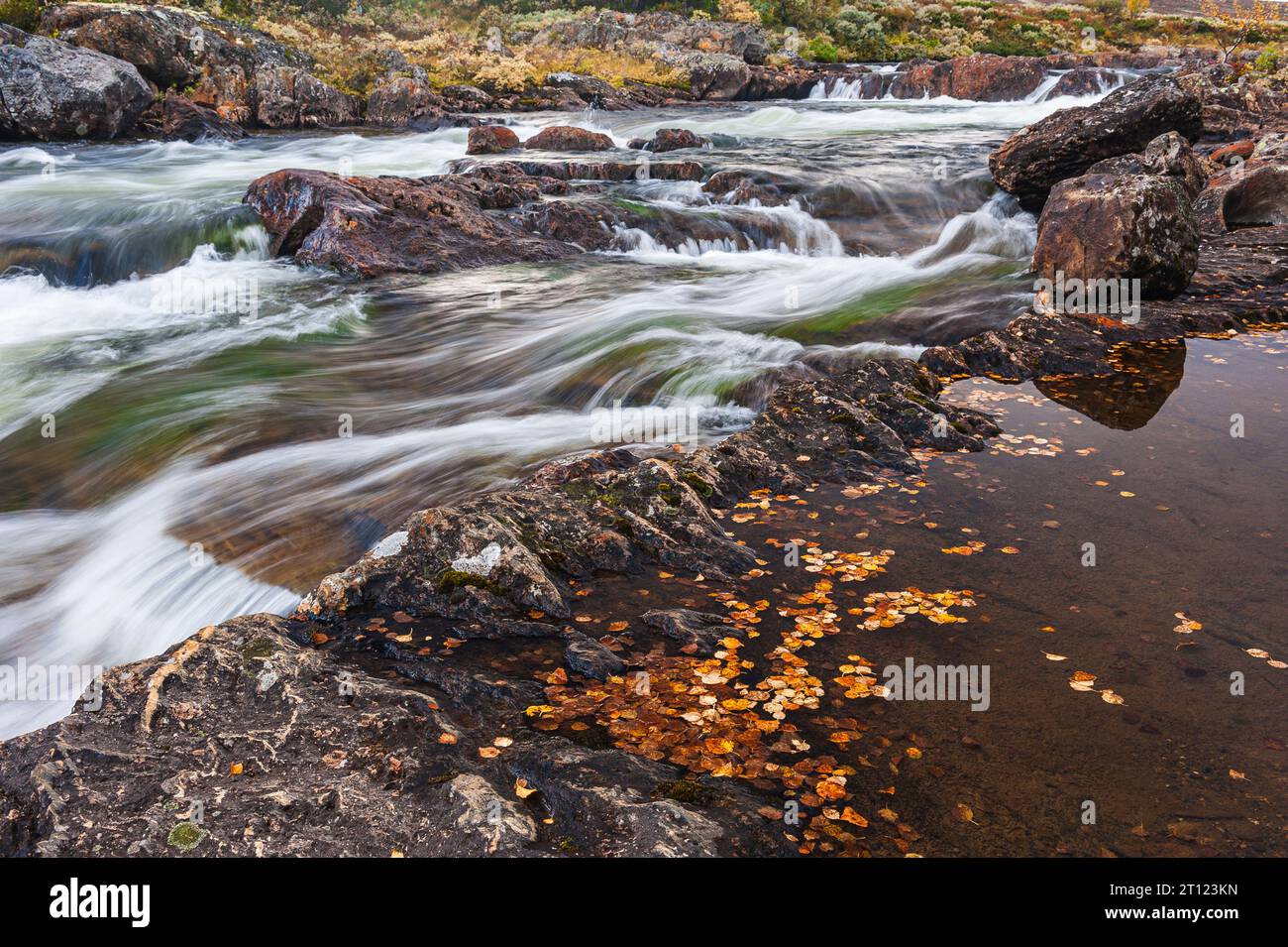Rapid river flows over rocks through autumnal Norwegian landscape Stock ...