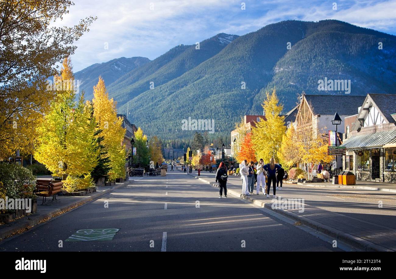 Autumn tree lined pedestrian hi-res stock photography and images - Alamy