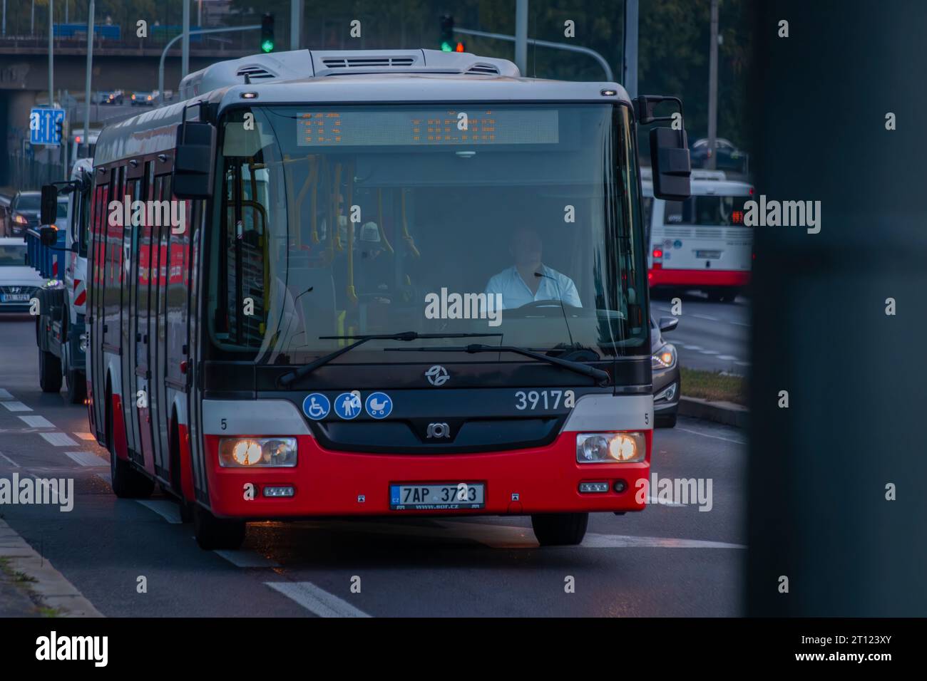 Public transport red bus in capital in sunrise color morning in Prague ...