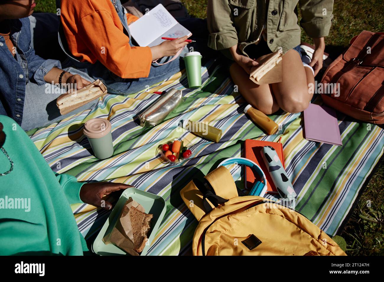 Top view closeup of students enjoying picnic on colorful blanket in ...