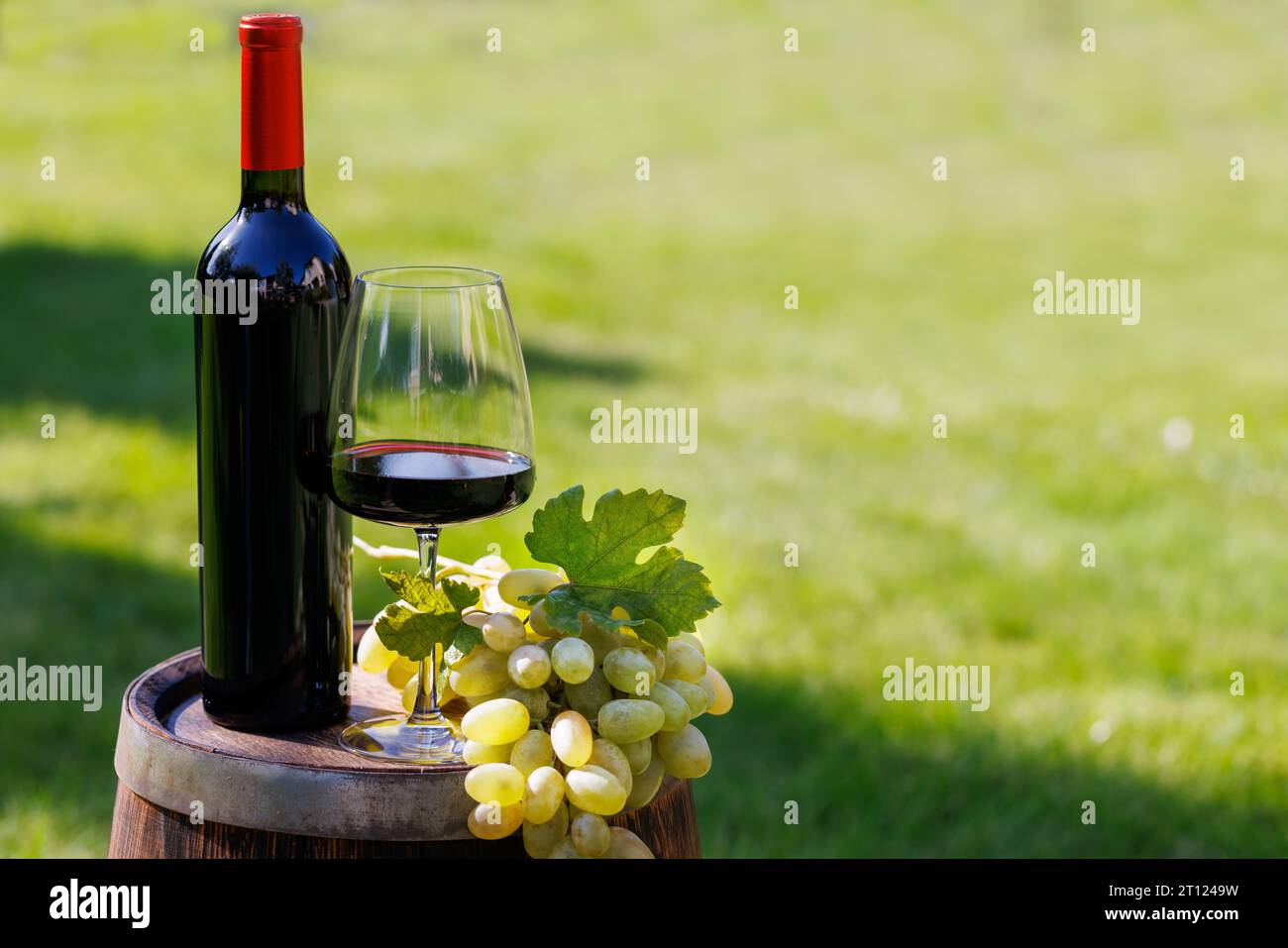 Wine bottle, red win glass and grape on barrel outdoors with copy space ...