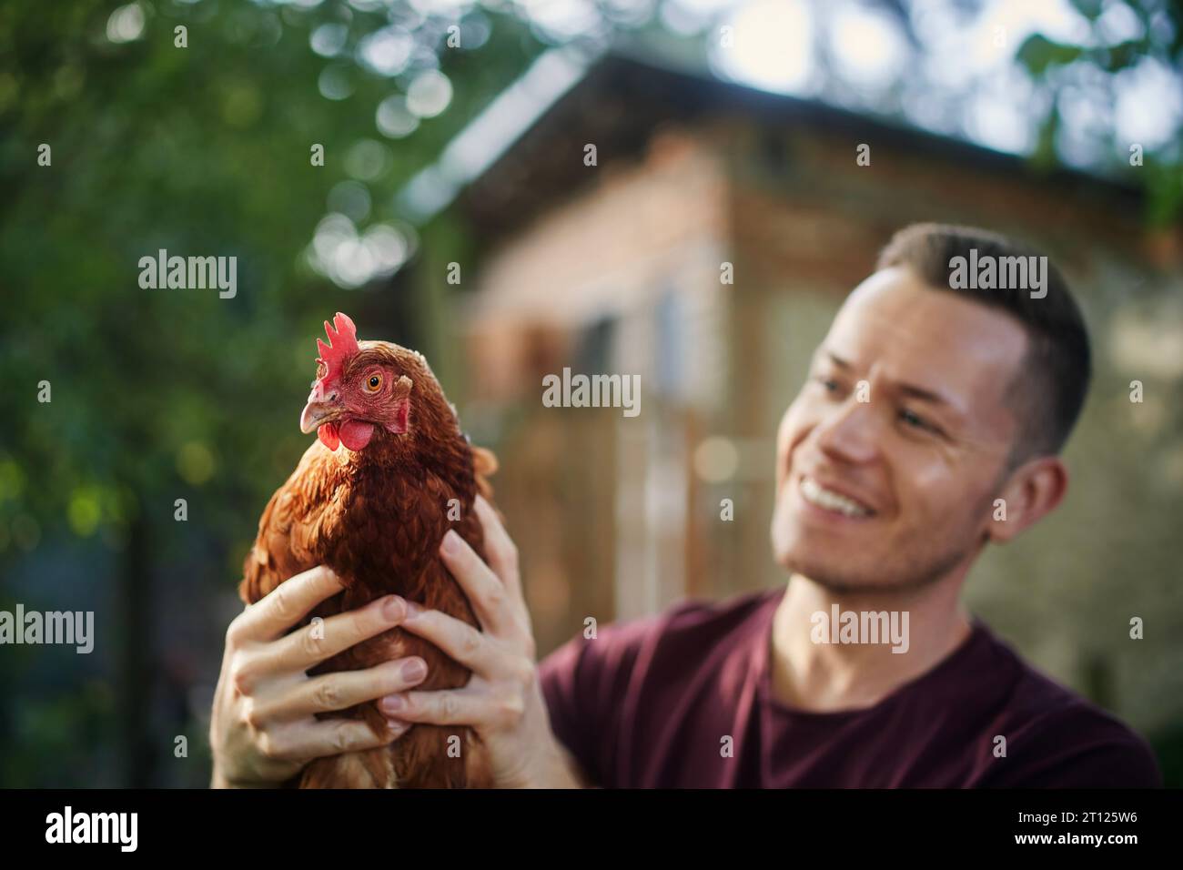 Portrait of smiling farmer while standing outside henhouse and holding ...