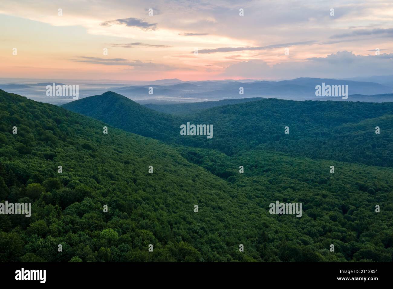 Aerial view of green pine forest with dark spruce trees covering ...