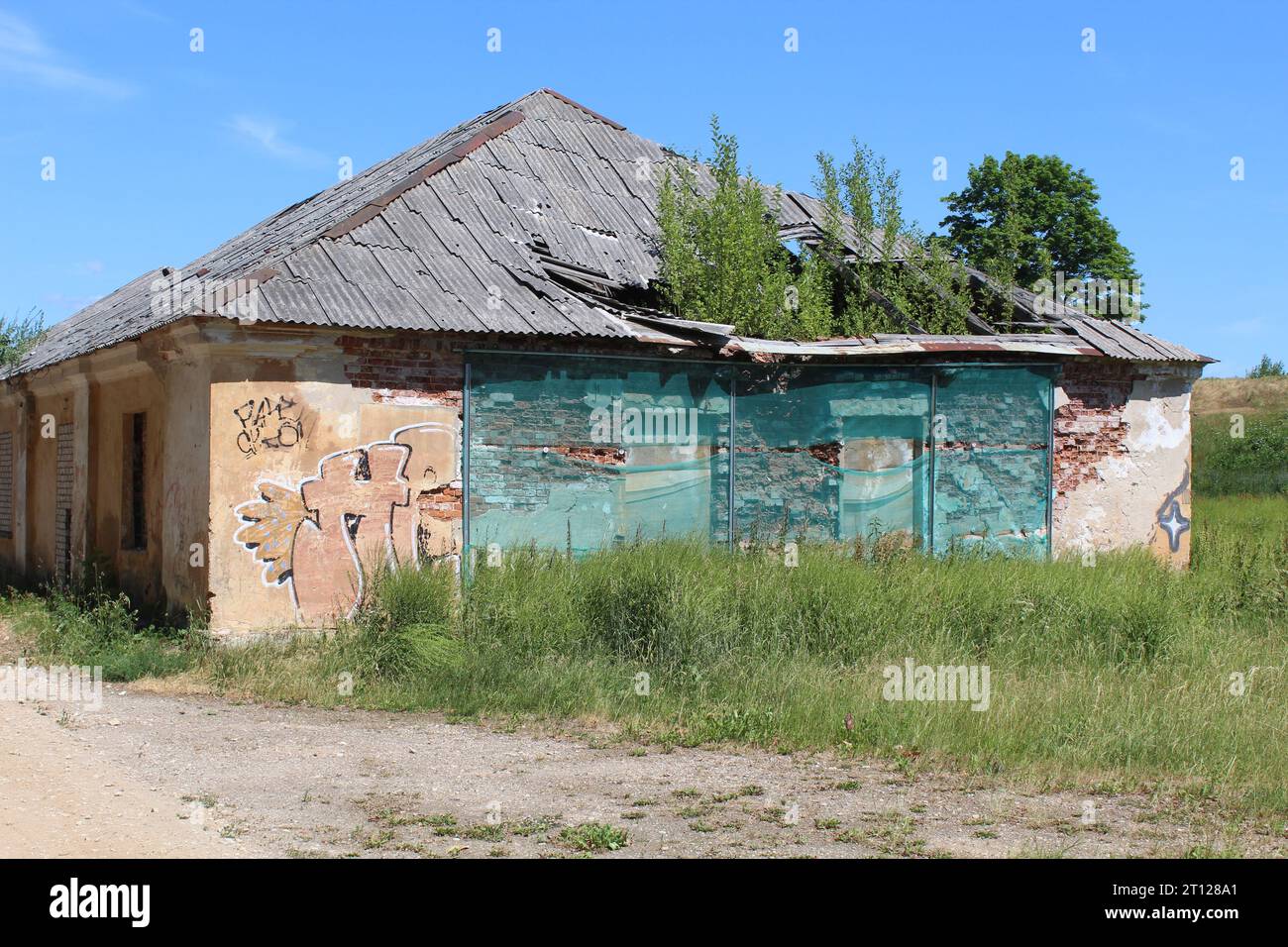 Tree growing through roof hi-res stock photography and images - Alamy