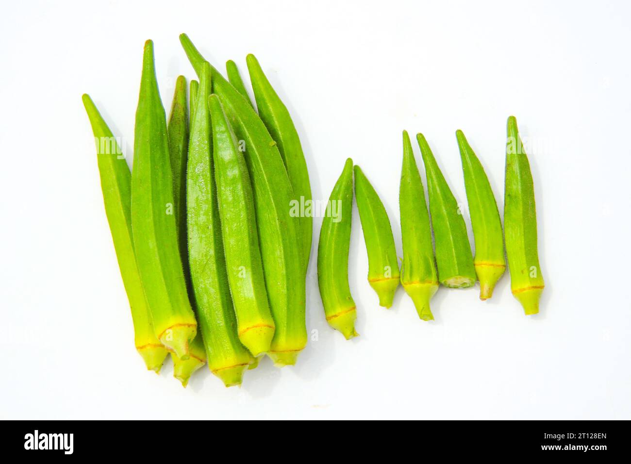 Lady freshness Cut Out Stock Images & Pictures - Alamy