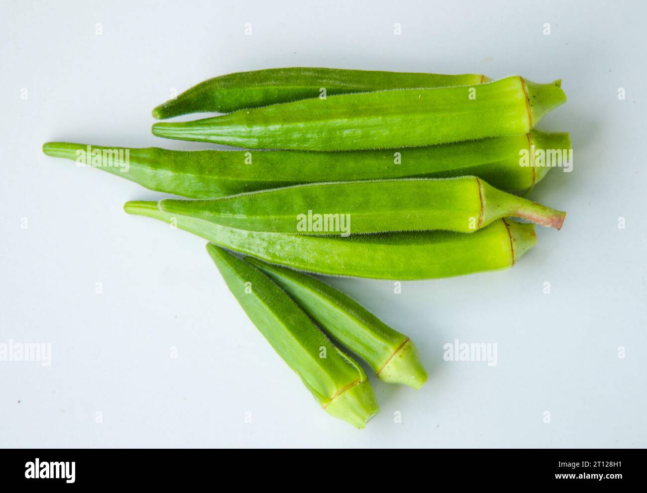 Close up of fresh okra isolated on white background. Fresh green okra ...
