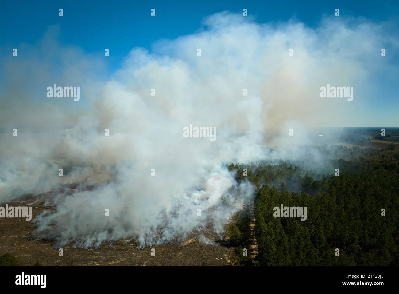 Aerial view of white smoke from forest fire rising up polluting ...