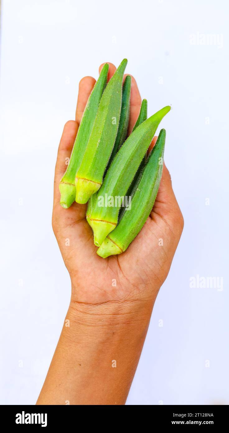 Close up of fresh okra isolated on white background. Fresh green okra ...