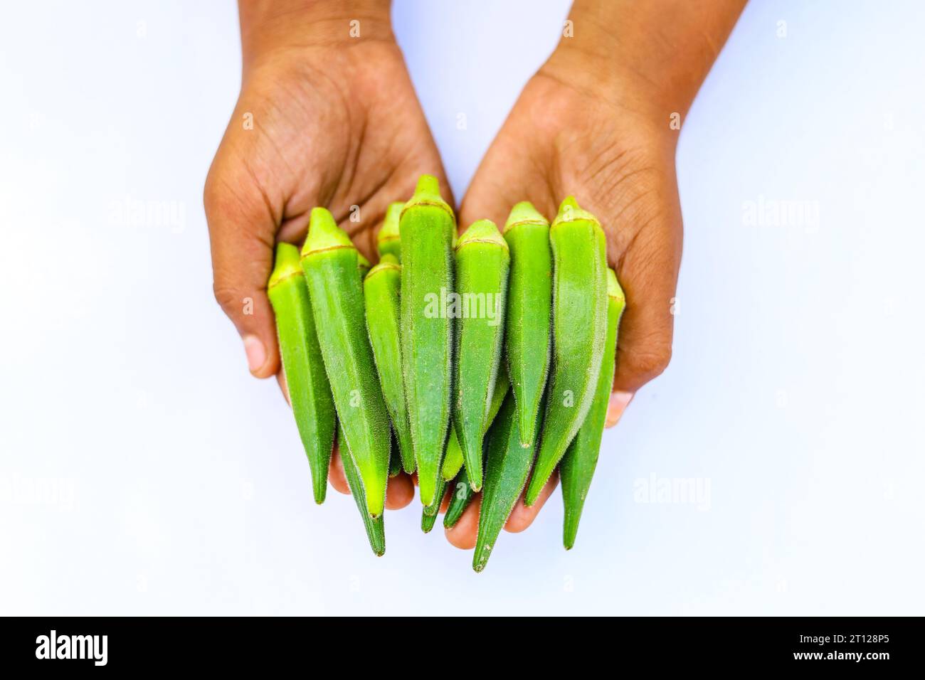 Close up of fresh okra isolated on white background. Fresh green okra ...