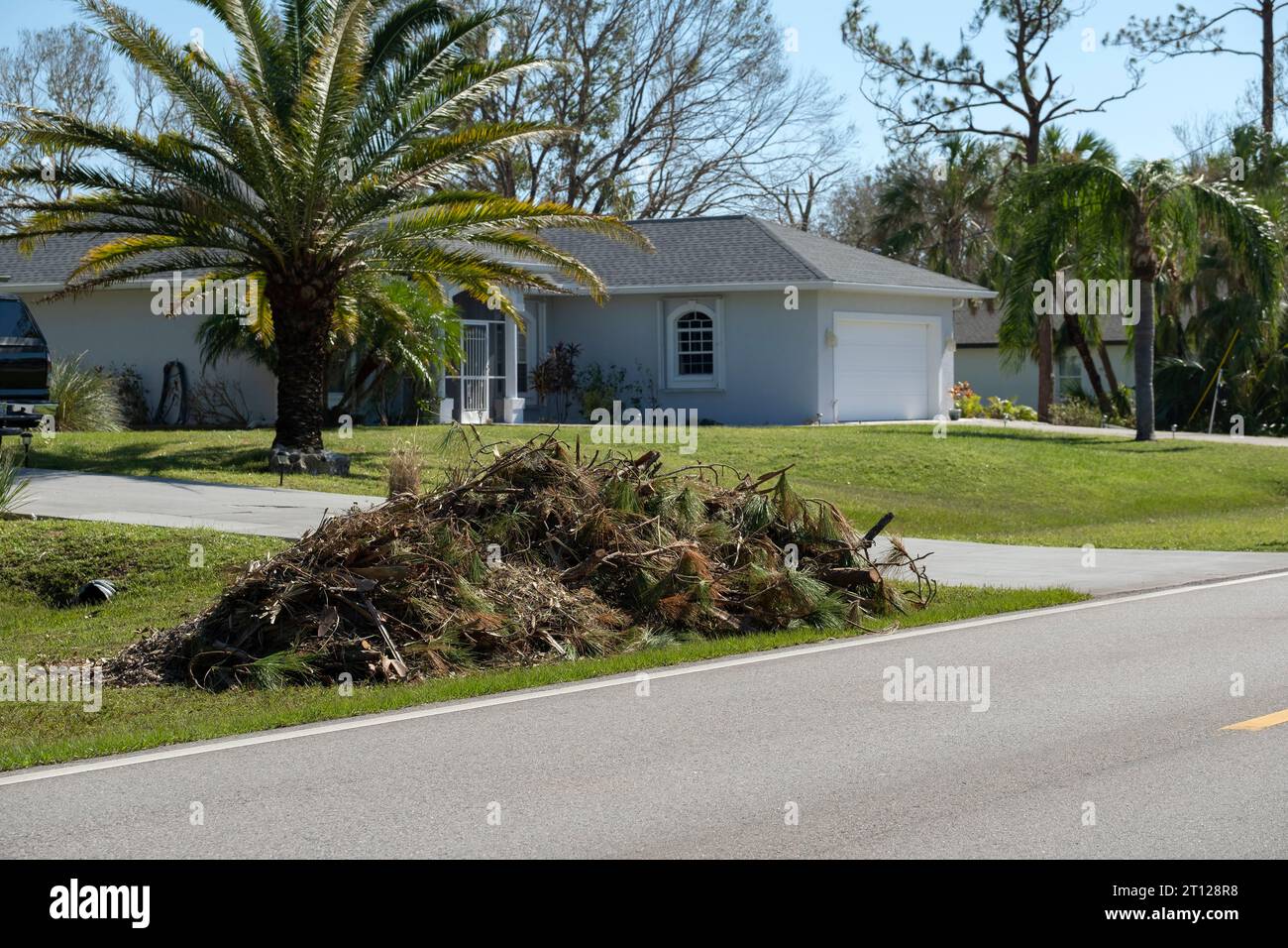 Broken tree limbs and branches on roadside from hurricane wind in ...