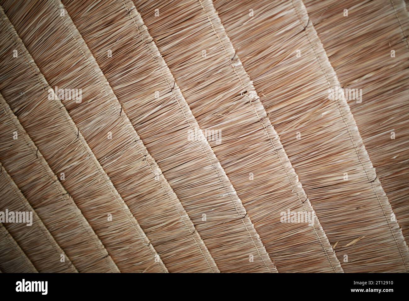Tropical straw roof hut hi-res stock photography and images - Alamy