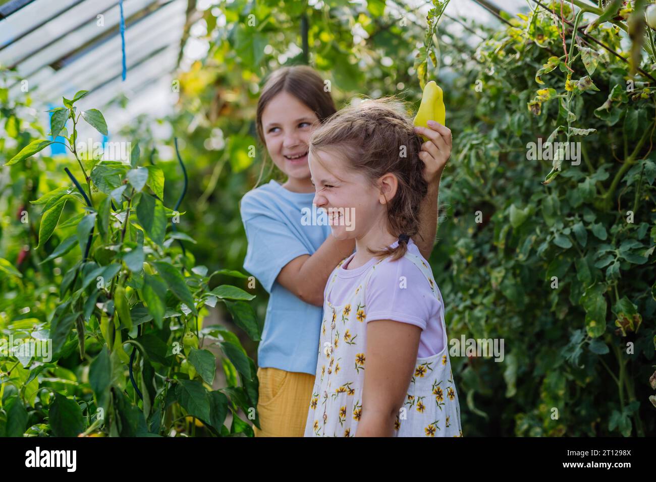 Sisters taking care of plants in a greenhouse. Girl working in the ...