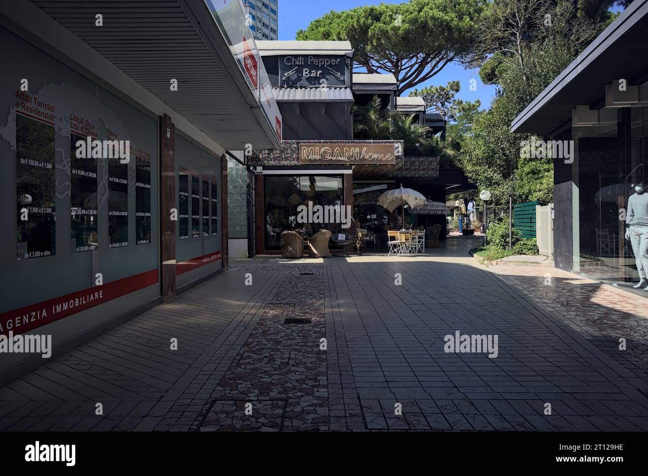 Alley with shop windows and maritime pines in an italian town by the ...