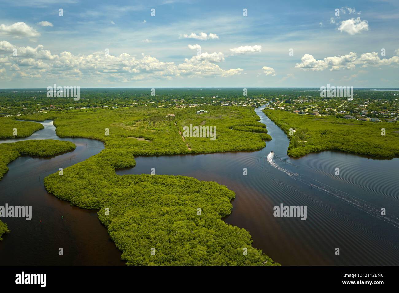 View from above of Florida everglades with green vegetation between ...