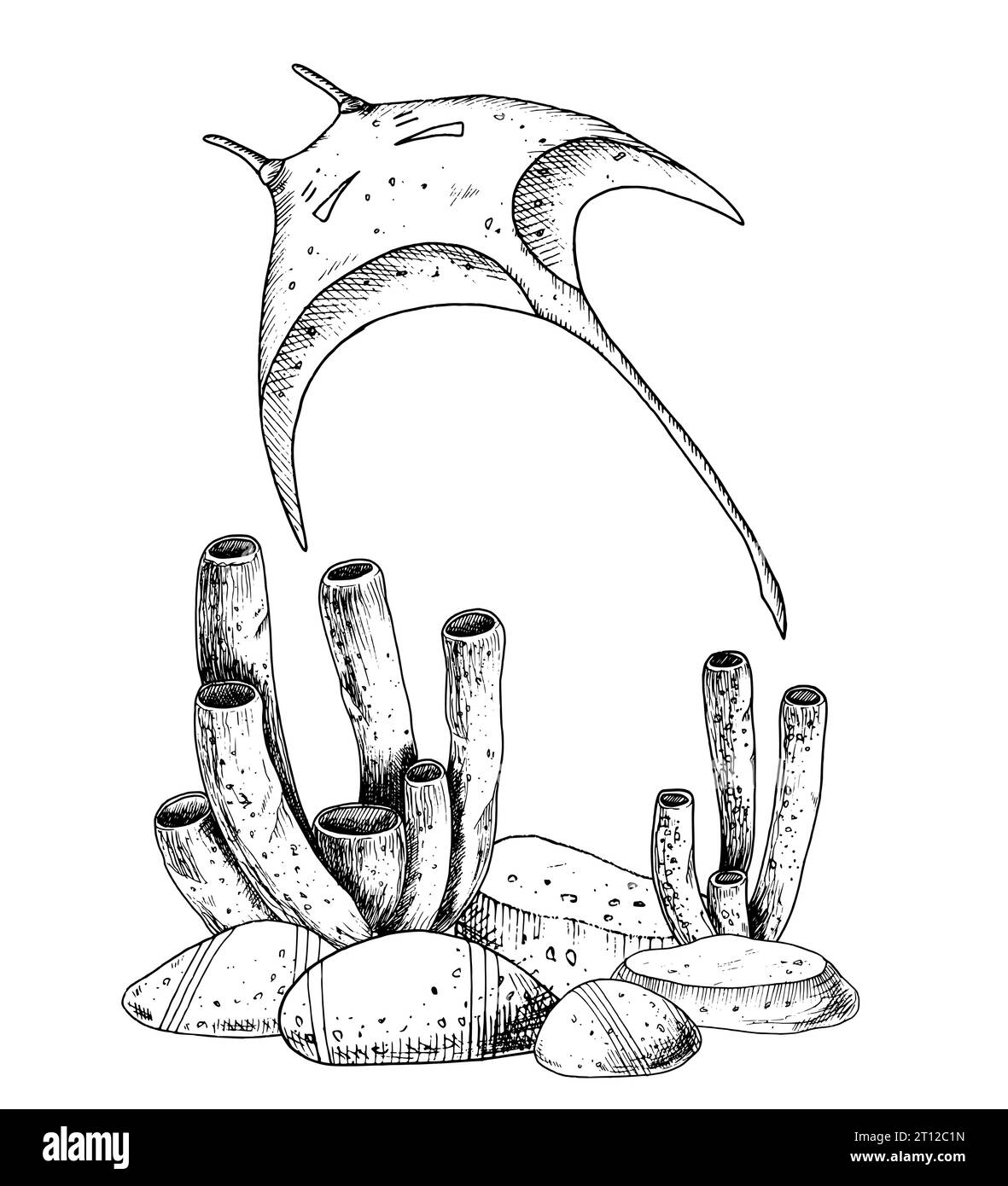 Sting Ray with Coral Reefs and Seabed. Han drawn black vector illustration of Stingray and ocean ...